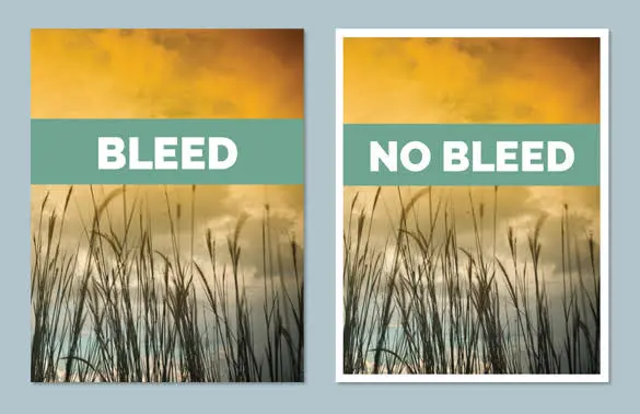 Bleed Printing 101: All You Need to Know | Bestype Printing NYC